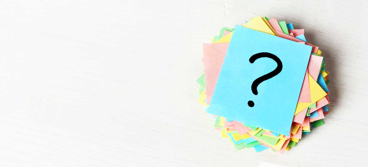 The Inquiring Mind - Lapin International