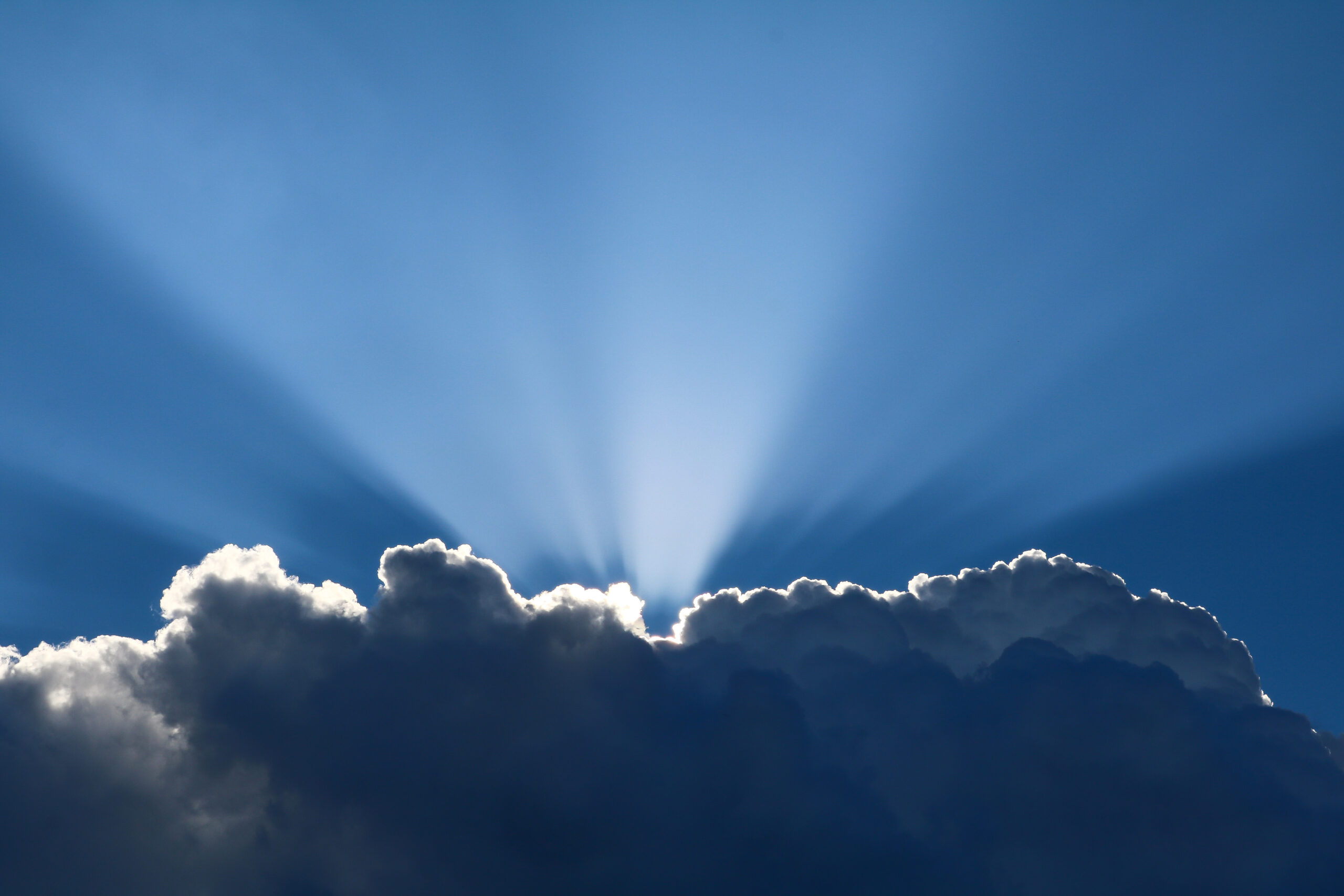 Positivity Drives Growth - It Can Also Invite Disaster - Lapin ...